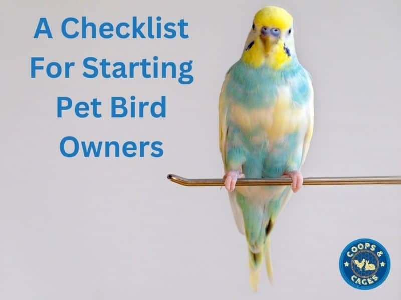 A Checklist For Starting Pet Bird Owners | Coops And Cages