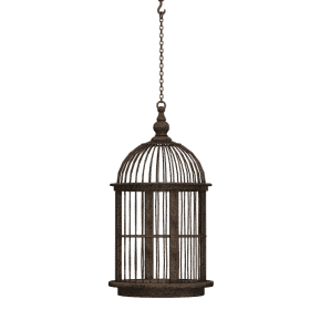 How To Properly Set Up A Bird Cage | Coops And Cages