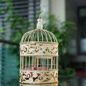 How To Properly Set Up A Bird Cage | Coops And Cages