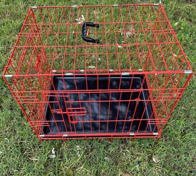Small Collapsable Dog Crate 24"
