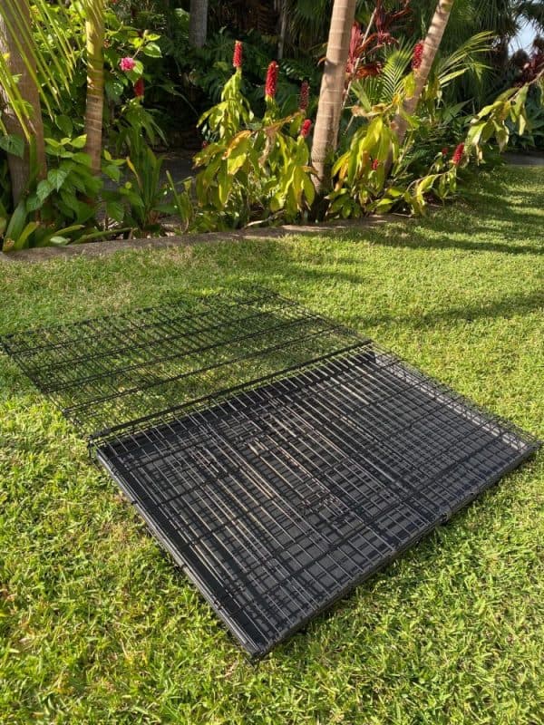 Extra, Extra Large Collapsable Cat Crate 48"