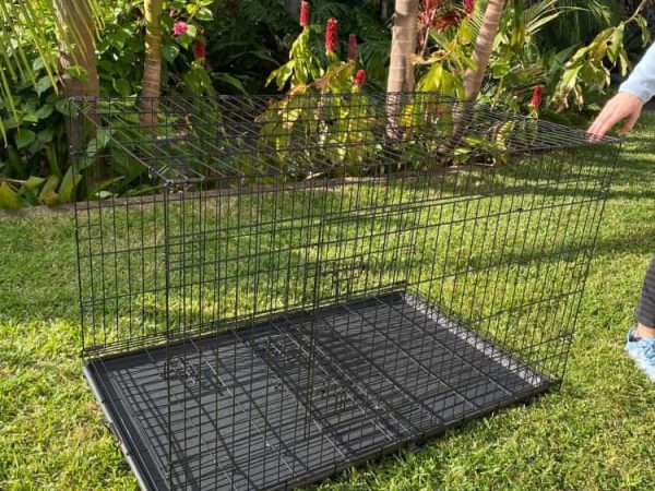 Extra, Extra Large Collapsable Dog Crate 48"