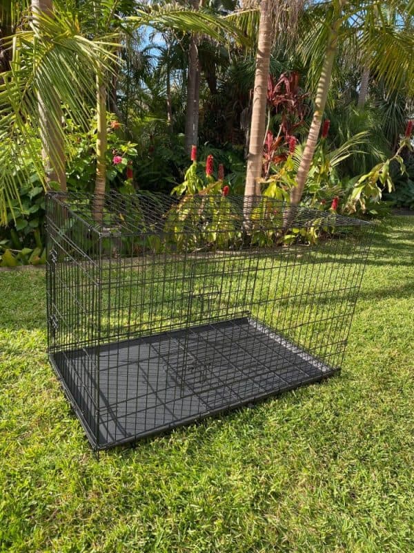 Extra, Extra Large Collapsable Cat Crate 48"