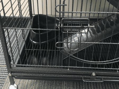 Coops And Cages Cooper Guinea Pig Cage