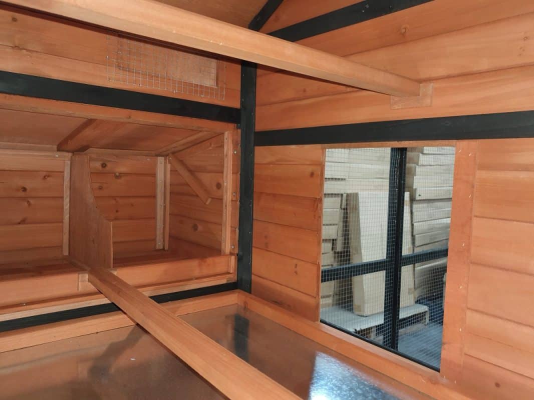 Coops And Cages Double Storey Chicken Coop With Nest Box