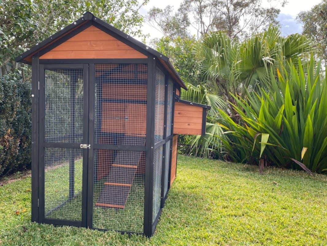 Coops And Cages Double Storey Chicken Coop With Nest Box