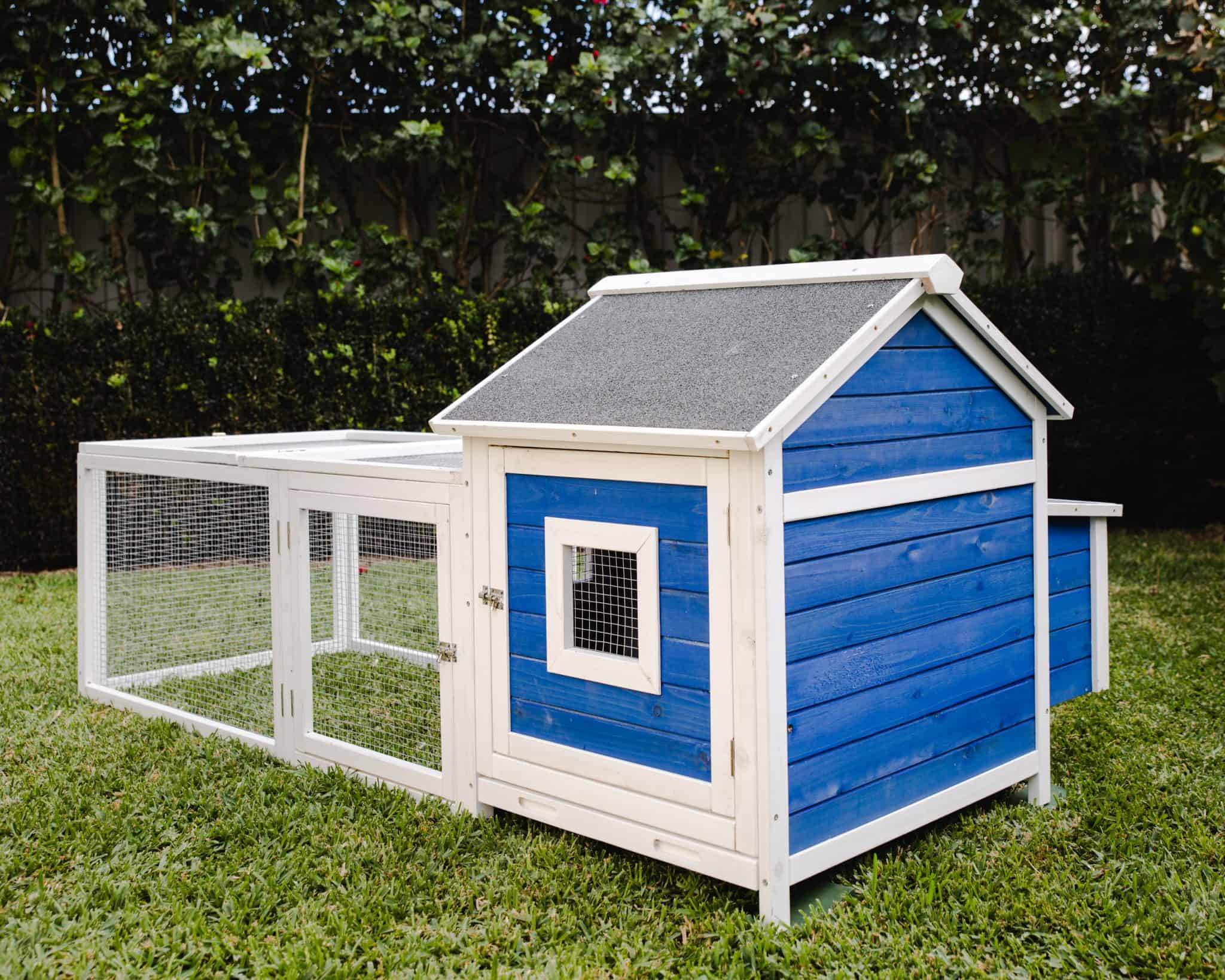 Yellow Cottage Chicken Coop By Coops And Cages