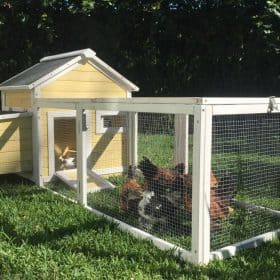 The Castle Chicken Enclosure - Coops & Cages