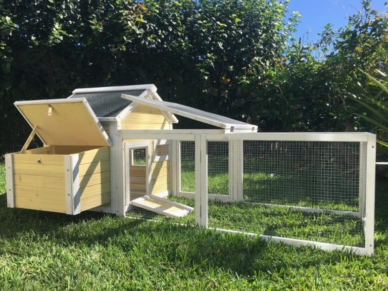 Cottage Chicken Coop By Coops And Cages