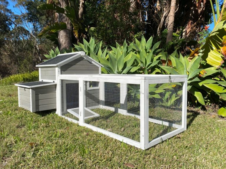 Cottage Chicken Coop By Coops And Cages