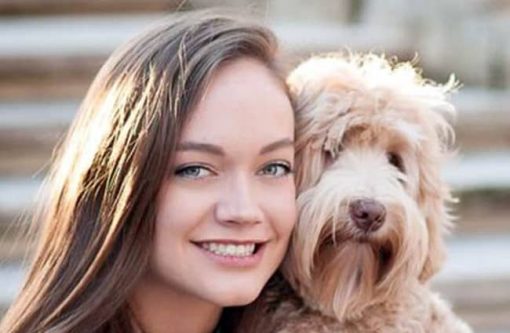 The Ultimate Oodle Dog Breed Information Guide