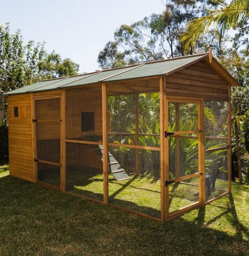 Best Outdoor Cat Enclosures Runs Tunnels For Happy Cats