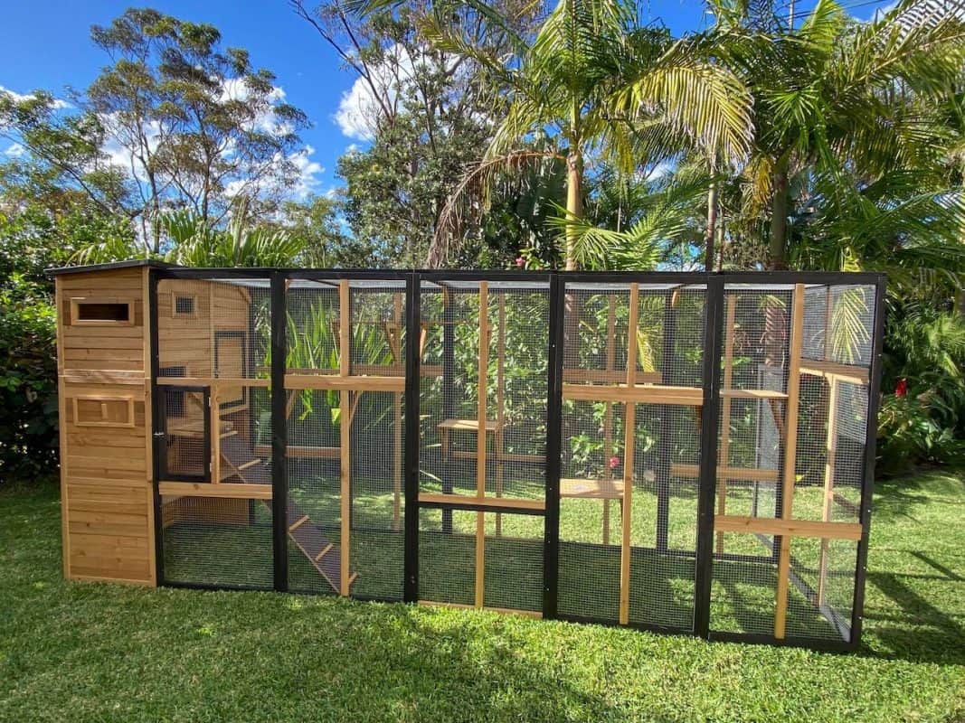 Buy The Greta Outdoor Cat House And Run Australia
