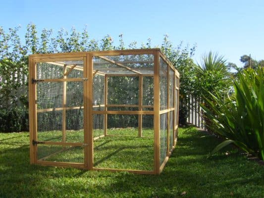 Cat Cages And Enclosures In Australia - Coops And Cages