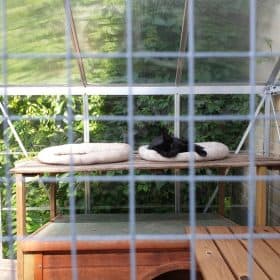 What Is A Catio, And Does My Cat Really Need One?