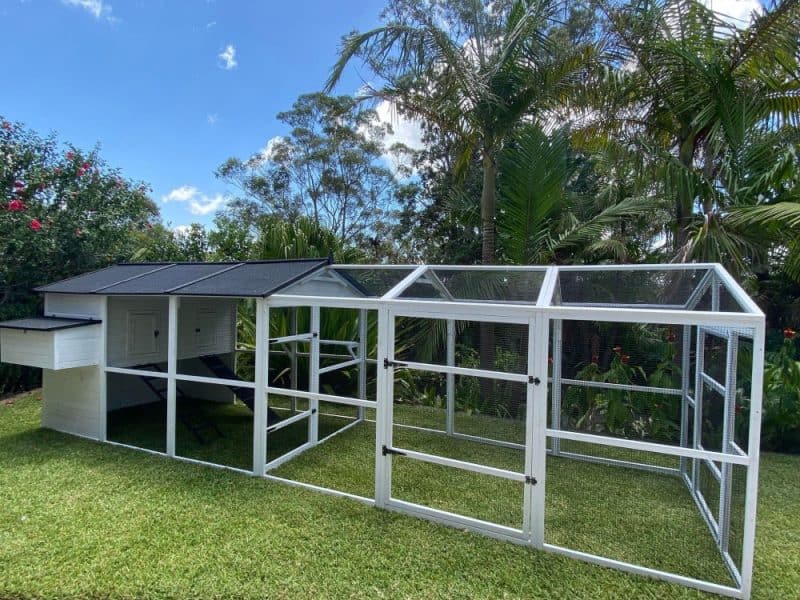 Cat Cages And Enclosures In Australia - Coops And Cages