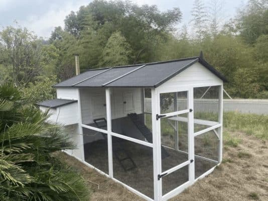 What Is A Catio, And Does My Cat Really Need One?