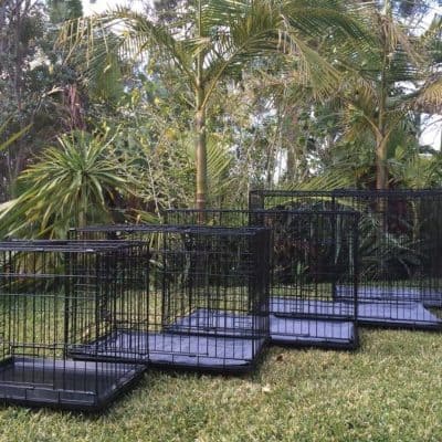 Using A Dog Crate Size Chart For Your Pet's Perfect Fit