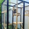 Easy Steps On How To Build A Cat Run Enclosure