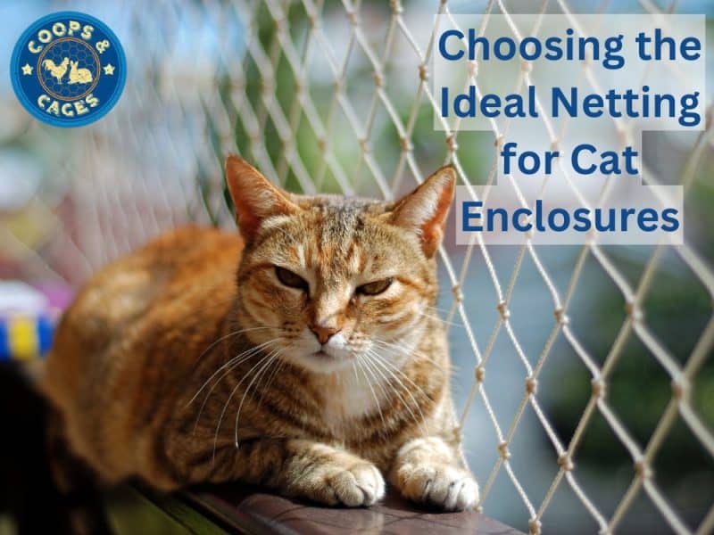 Choosing The Ideal Netting For Cat Enclosures