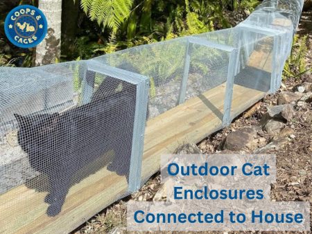 Australia's Best Online Pet Enclosure Store | Coops And Cages