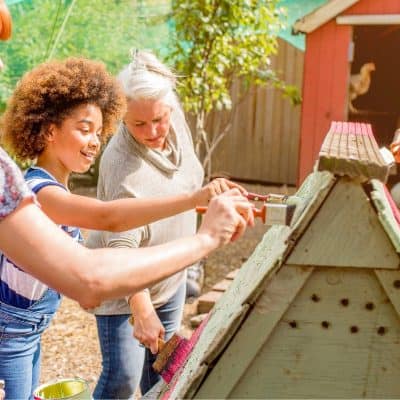 Effortless Chicken Coop Maintenance: A Handy Aussie Guide