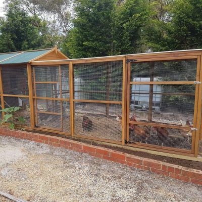 Optimal Size: How Big Should A Chicken Run Be?