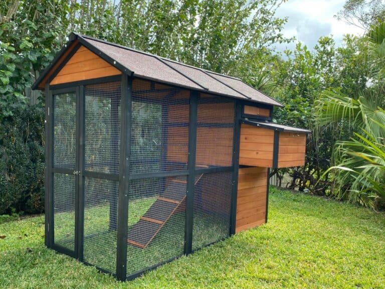 Coops And Cages Double Storey Chicken Coop With Nest Box