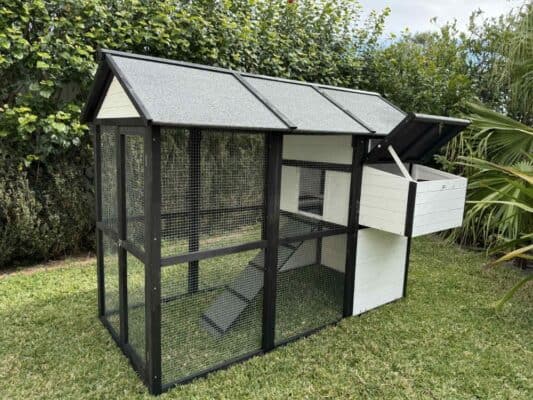 Coops And Cages Double Storey Chicken Coop With Nest Box