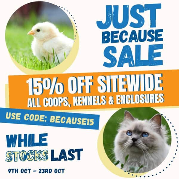 Get All The Cat Curfew Info For Australian Cities & Councils